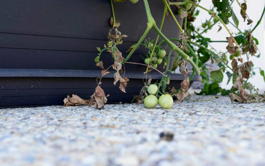 ex-designz : Un blog de design mais pas que